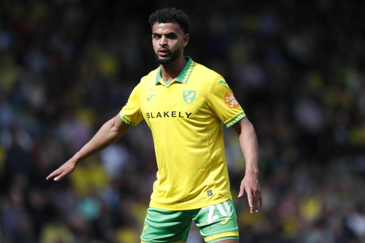 Norwich City: Slimane suffers bruising World Cup start | The Pink Un